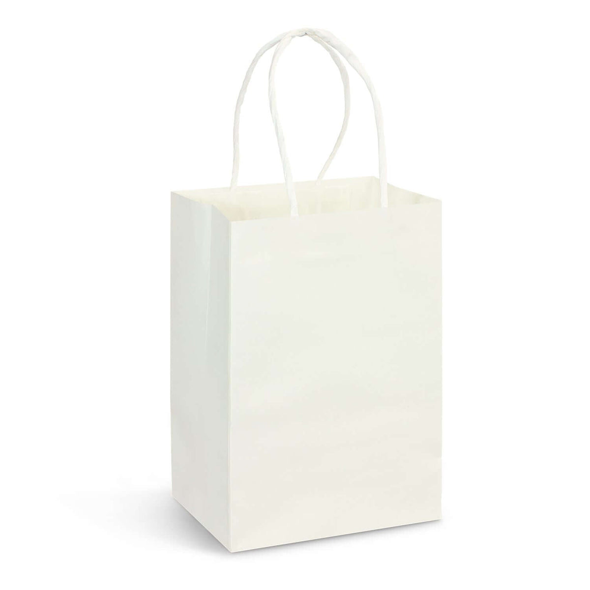 Small Paper Carry Bag - Full Colour | Executive Door Gifts